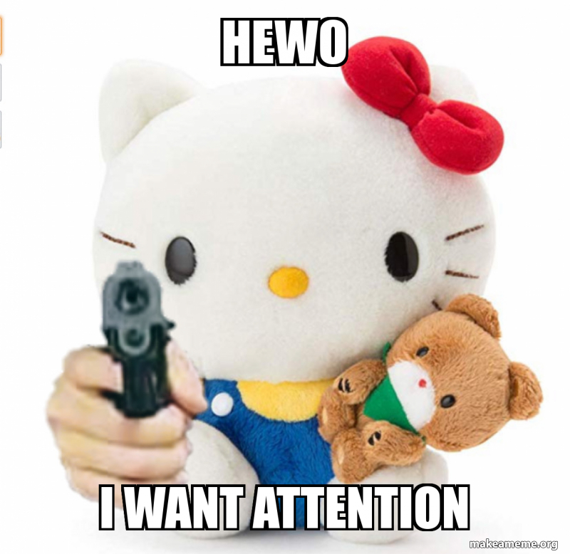 hewo i want attention Meme Generator