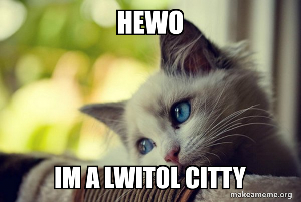 Hewo Im a lwitol citty - First World Cat Problems Meme Generator