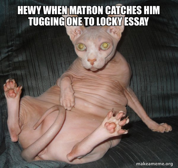 hewy when matron catches him tugging one to locky essay - Hairless Cat ...