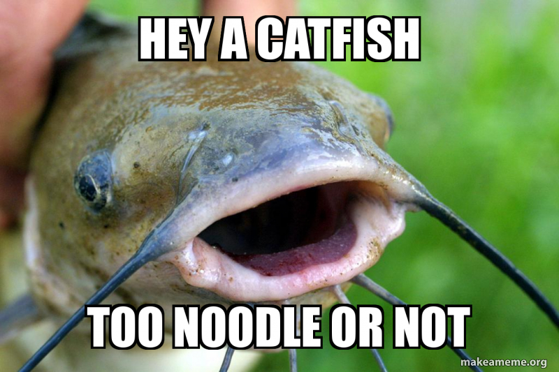 Hey A catfish Too noodle Or not Meme Generator