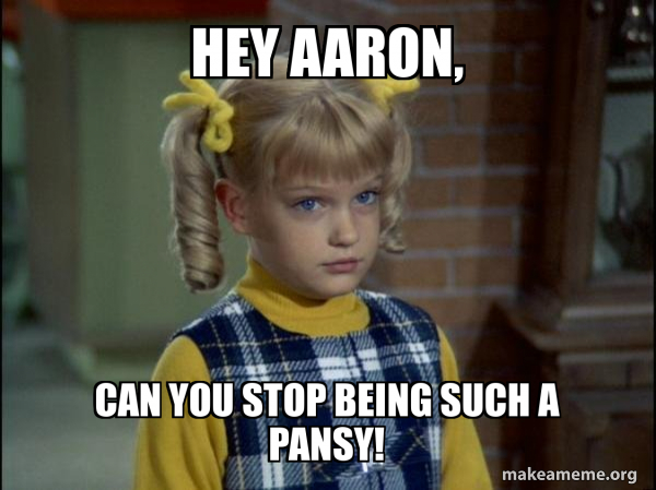 Hey Aaron, Can you stop being such a pansy! - Cindy Brady Meme Meme ...