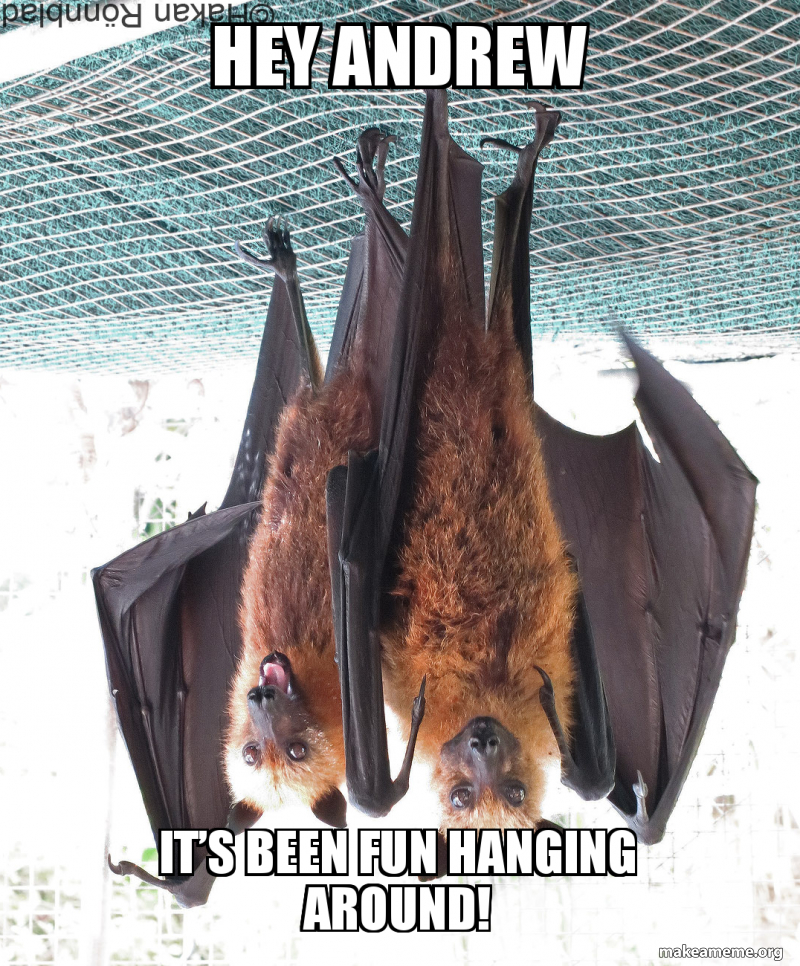 Hey andrew Itâ€™s been fun hanging around! Meme Generator