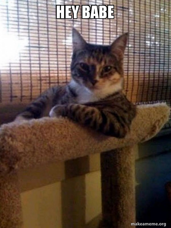 HEY BABE - The Most Interesting Cat in the World Meme Generator