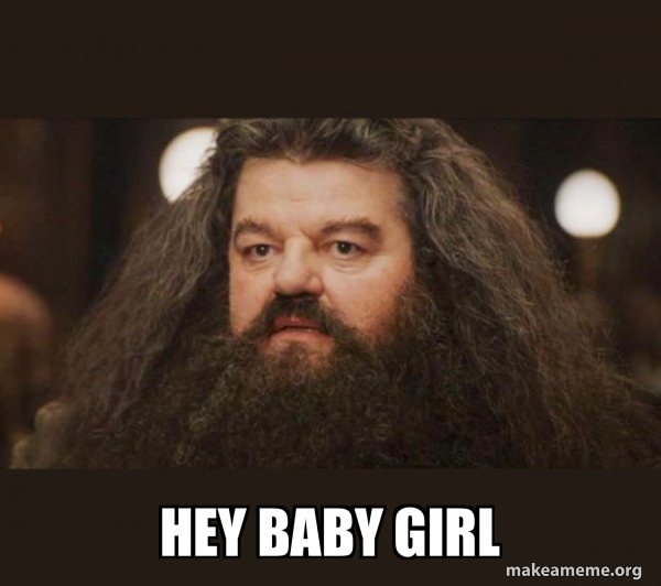 hey baby girl - Hagrid - I should not have said that Meme Generator