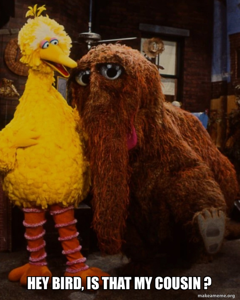 Hey Bird, is that my Cousin ? Meme Generator