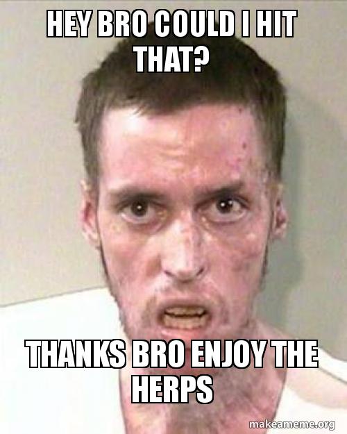 Hey bro could I hit that? Thanks bro enjoy the herps - Hh Meme Generator