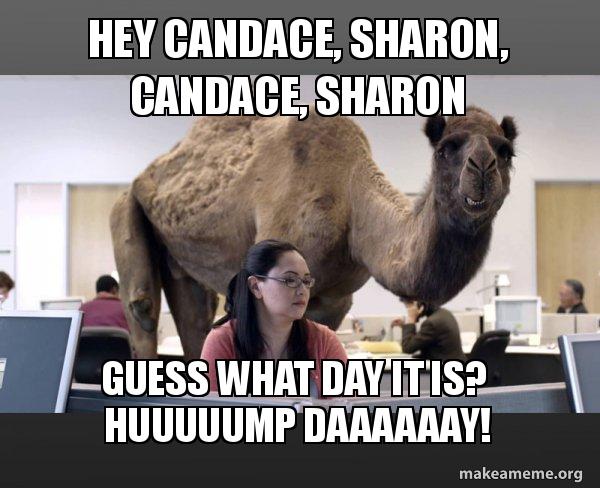 Hey Candace, Sharon, Candace, Sharon Guess what day it is? HUUUUUMP ...
