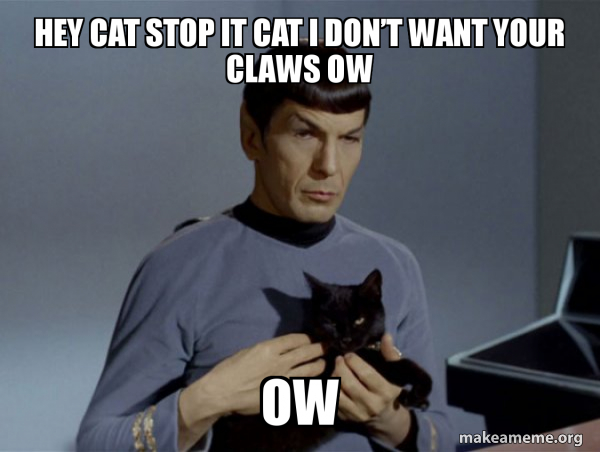 Hey cat stop it cat I donâ€™t want your claws ow Ow - Spock and Cat ...