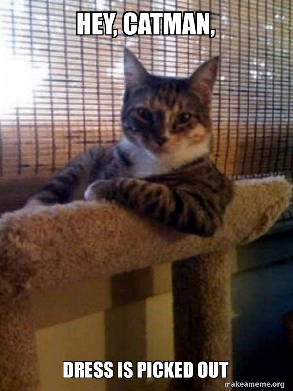 Hey, catman, Dress is picked out - The Most Interesting Cat in the ...