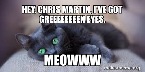 Hey, Chris martin, I'VE GOT GREEEEEEEEN EYES. Meowww Meme Generator