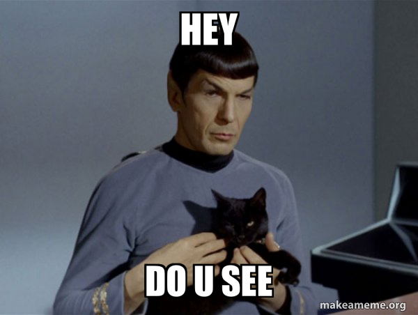 hey DO u see - Spock and Cat Meme Meme Generator
