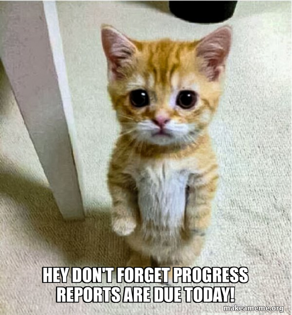 Hey Don't forget Progress Reports are Due Today! - Cute Cat Standing ...