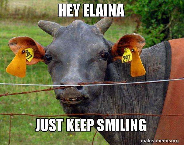 Keep Smiling Meme HEY ELAINA JUST KEEP SMILING Hairless Cow Meme