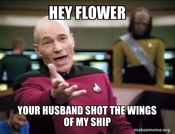 HEY FLOWER YOUR HUSBAND SHOT THE WINGS OF MY SHIP - Annoyed Picard Meme ...