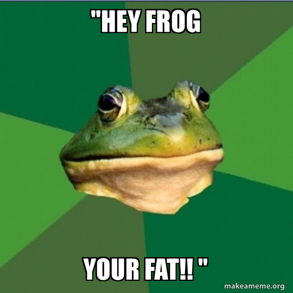 "Hey frog Your fat!! " - Foul Bachelor Frog Meme Generator