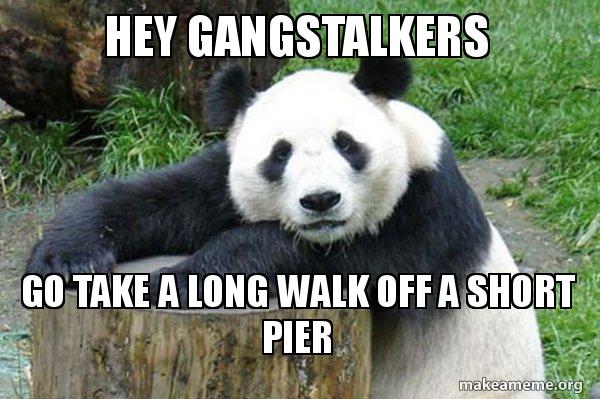 Hey Gangstalkers Go take a long walk off a short pier - Confession ...