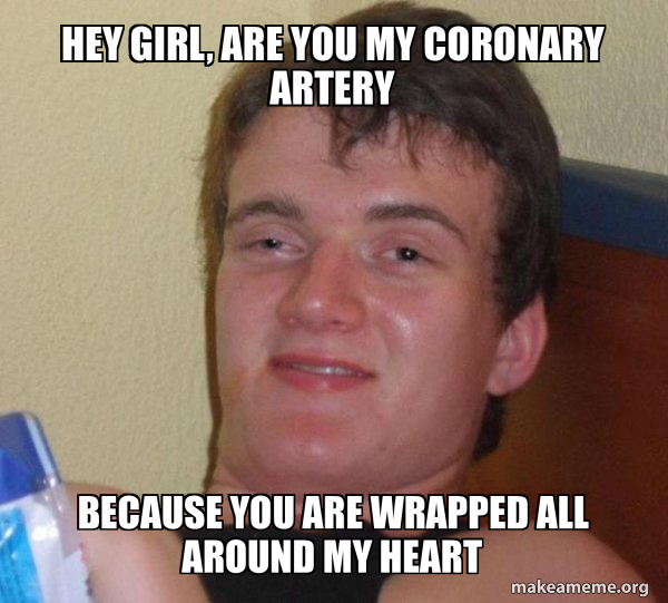 HEY GIRL, ARE YOU MY CORONARY ARTERY BECAUSE YOU ARE WRAPPED ALL AROUND ...