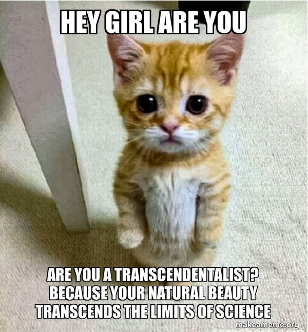 hey girl are you are you a transcendentalist? because your natural ...