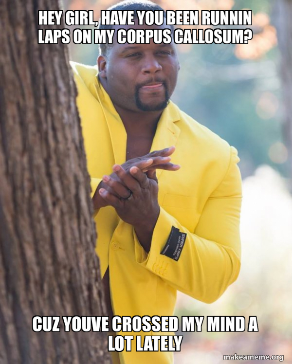 hey girl, have you been runnin laps on my corpus callosum? cuz youve ...
