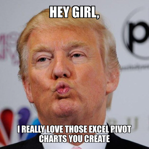 HEY GIRL, I REALLY LOVE THOSE EXCEL PIVOT CHARTS YOU CREATE - Donald ...