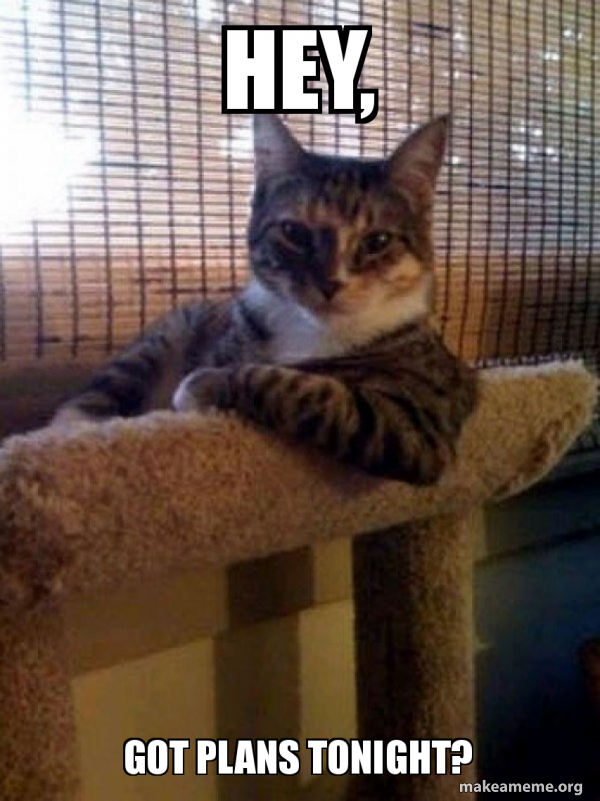 hey, got plans tonight? - The Most Interesting Cat in the World Meme ...