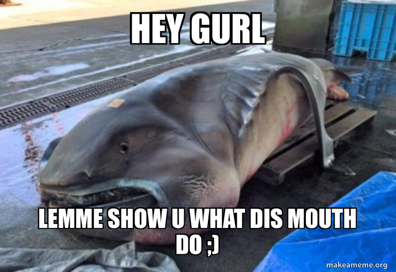 Hey Gurl Lemme show u what dis mouth do ;) Meme Generator