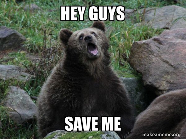 HEY guys save me - Sarcastic Bear Meme Generator