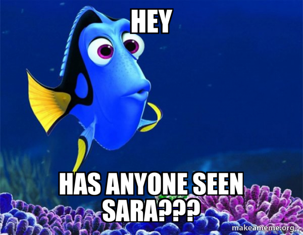 HEY HAS ANYONE SEEN SARA??? - Dory from Nemo (5 second memory) Meme ...