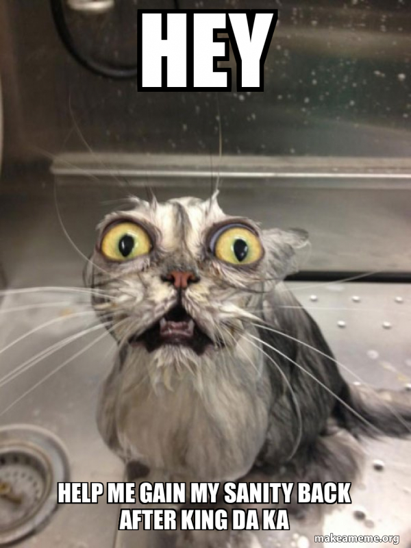 HEY HELP ME GAIN MY SANITY BACK AFTER KING DA KA - Cat bath Meme Generator