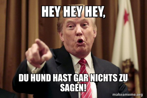 Hey Hey Hey, Du Hund hast gar nichts zu sagen! - Donald Trump Says Meme ...