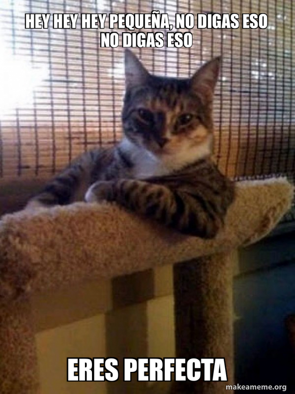 Hey hey hey pequeña, no digas eso no digas eso eres perfecta - The Most ...