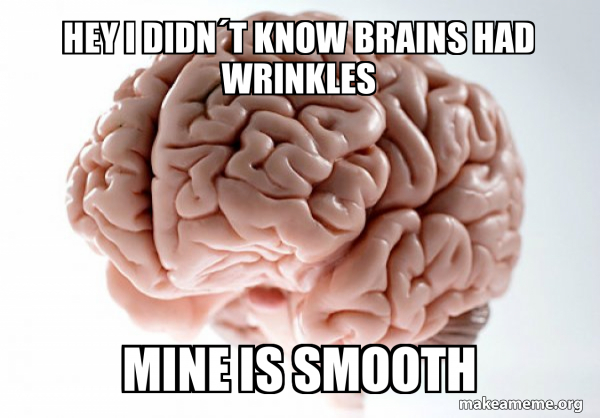 hey i didn´t know brains had wrinkles mine is smooth - Scumbag Brain ...
