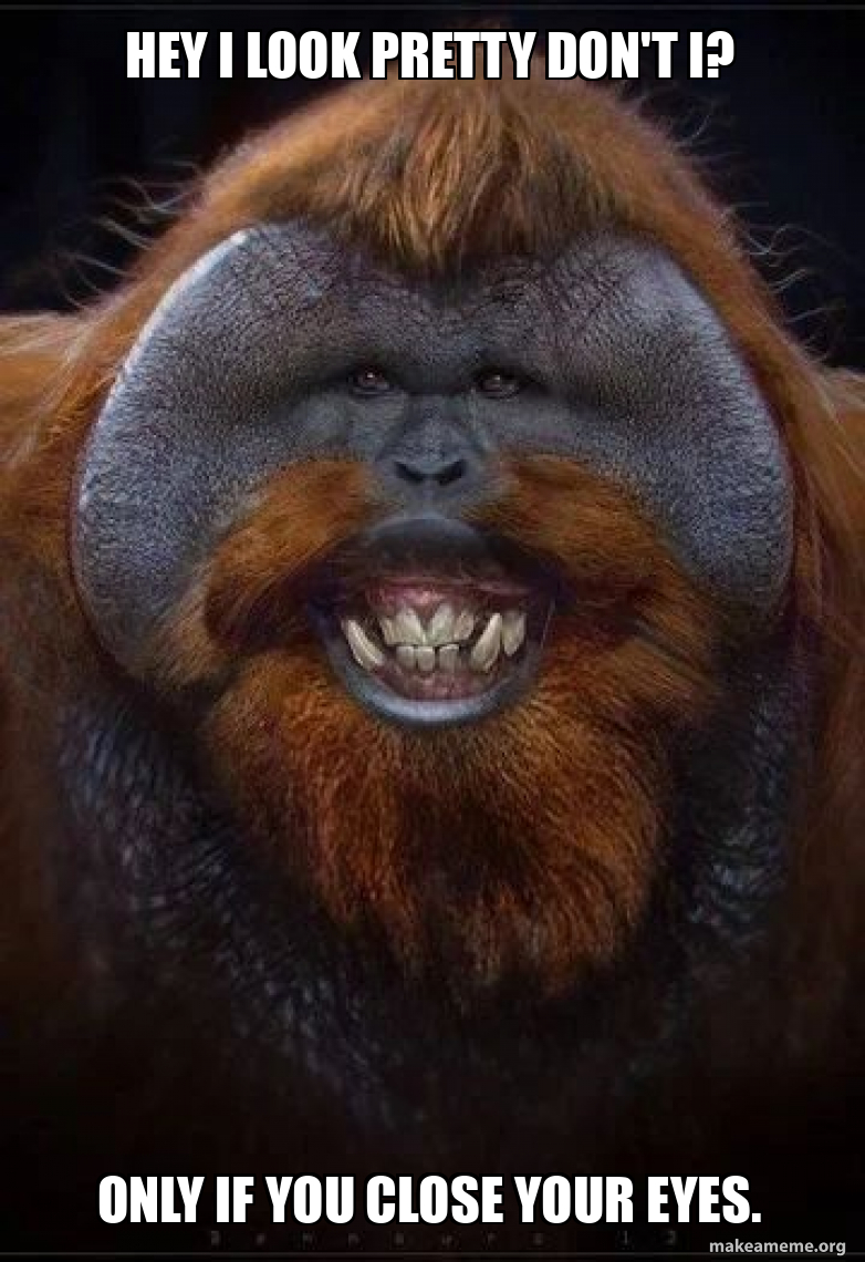 Hey I look pretty don't I? Only if you close your eyes. Meme Generator