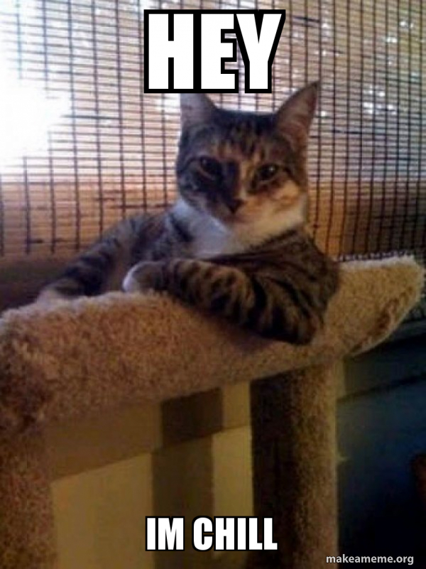 hey im chill - The Most Interesting Cat in the World Meme Generator