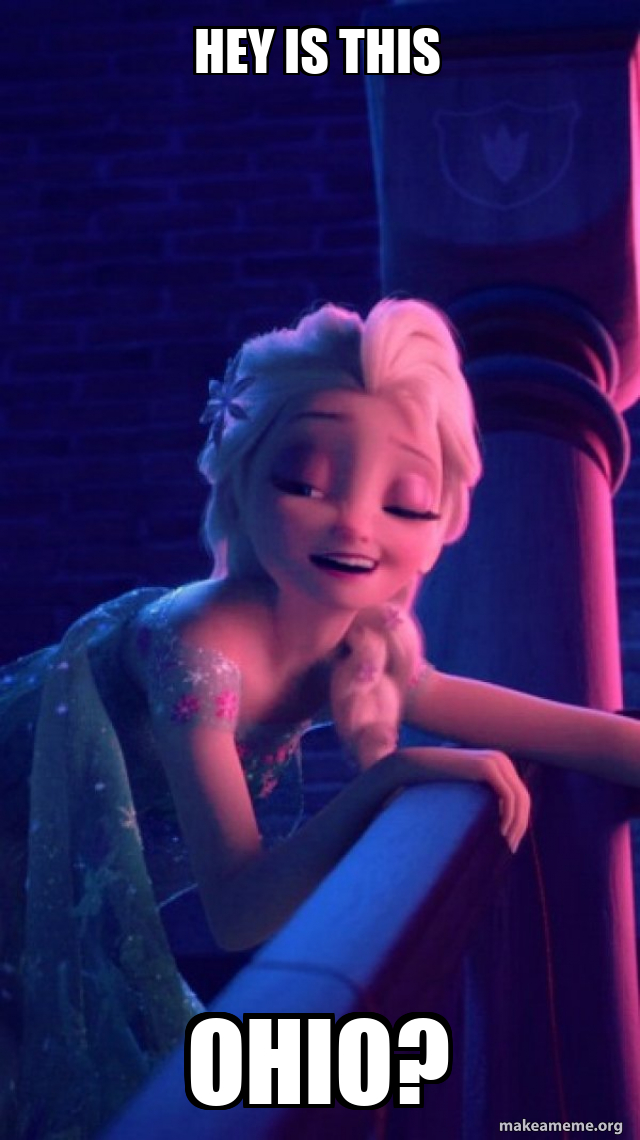 heY Is tHiS Ohio? - Drunk Elsa Meme Generator