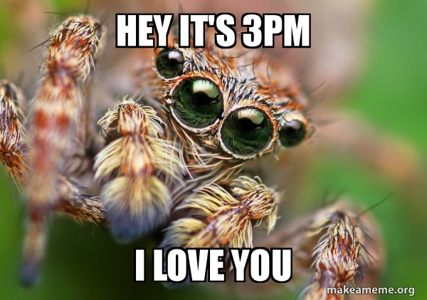 Hey it's 3pm I love you - Hipster Spider Meme Generator