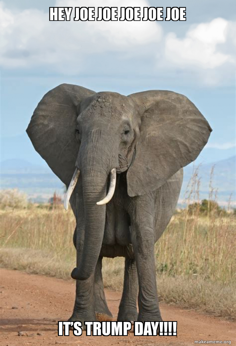 Hey Joe Joe Joe Joe Joe It’s Trump Day!!!! Meme Generator