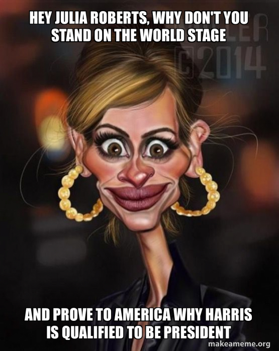 HEY JULIA ROBERTS, WHY DON'T YOU STAND ON THE WORLD STAGE AND PROVE TO ...