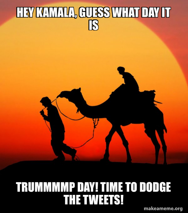 Hey Kamala, guess what day it is Trummmmp day! Time to dodge the tweets ...
