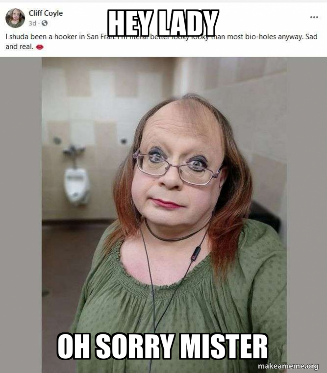 Hey lady Oh sorry mister Meme Generator