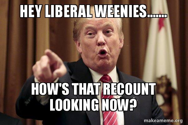 Hey Liberal Weenies....... How's that recount looking now? - Donald ...