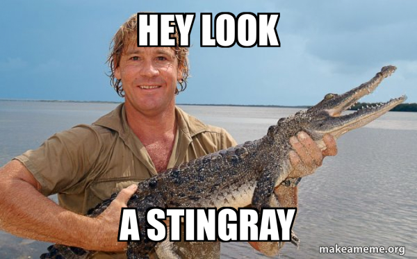 hey look a stingray - Steve irwin Meme Generator
