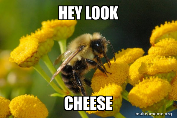hey look cheese - Good Guy Bee Meme Generator