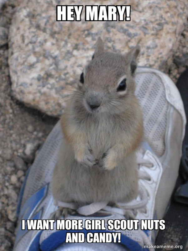 Hey Mary! I want more Girl Scout nuts and candy! - Standover Squirrel ...