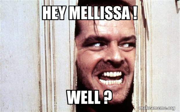 hey Mellissa ! well ? Meme Generator