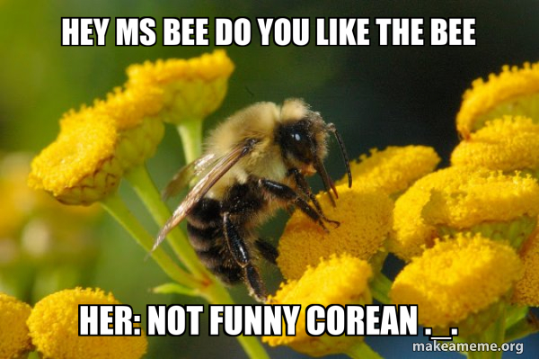 Hey ms BEE do you like the bee HER: NOT funny corean ._. - Good Guy Bee ...