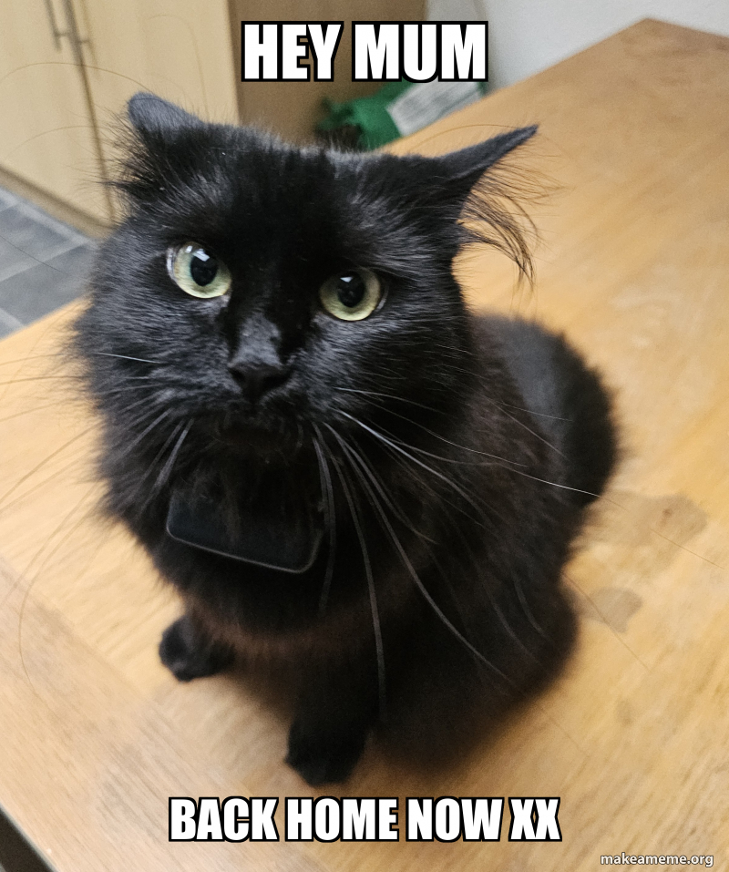 Hey mum Back home now XX Meme Generator