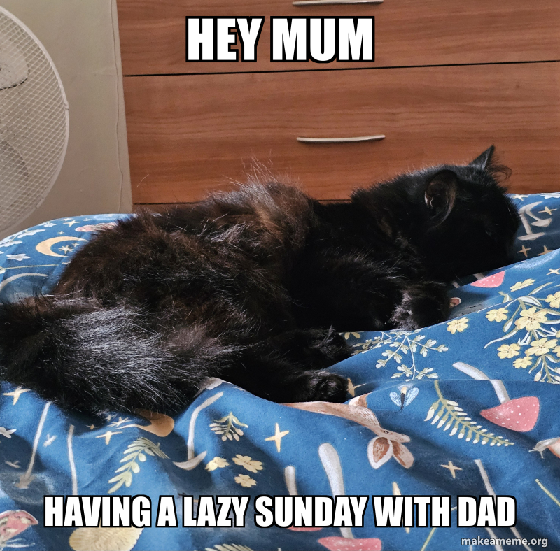 Hey mum Having a LAZY SUNDAy with dad Meme Generator