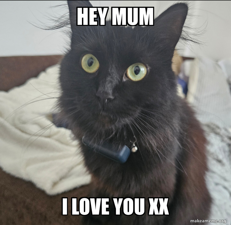 Hey mum I love you xx Meme Generator