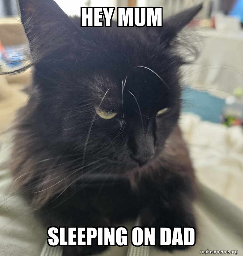 Hey mum Sleeping on dad Meme Generator